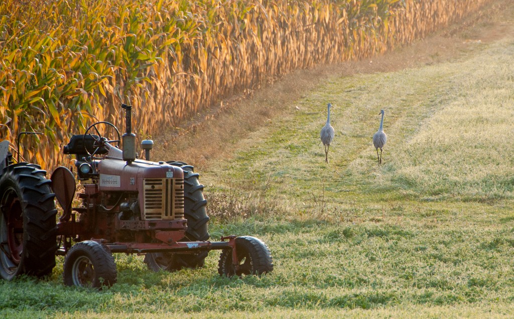 Working Farms - Legacy Land Conservancy | Ann Arbor, MI