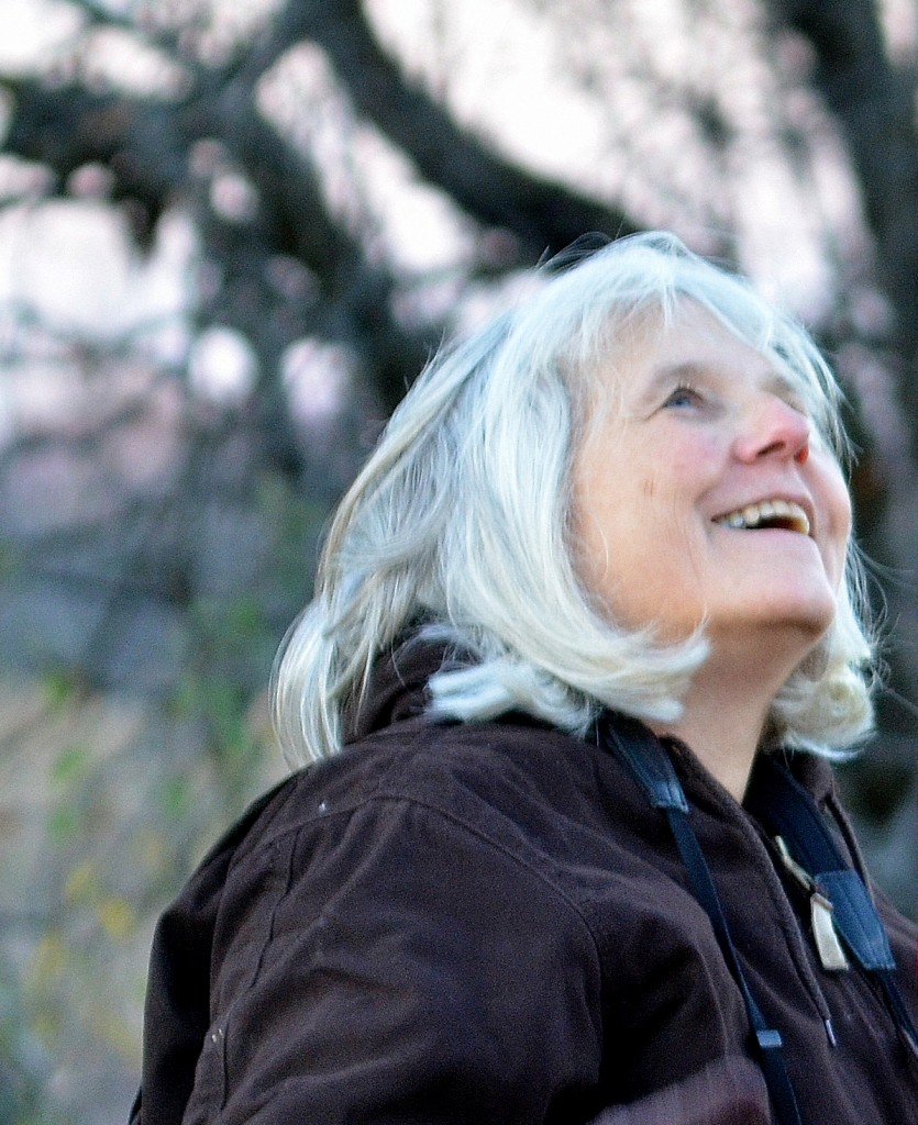 Introducing the Susan Lackey Fund for Sustaining Stewardship - Legacy ...