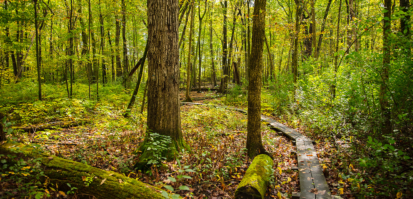 Nature Preserves - Legacy Land Conservancy | Ann Arbor, MI