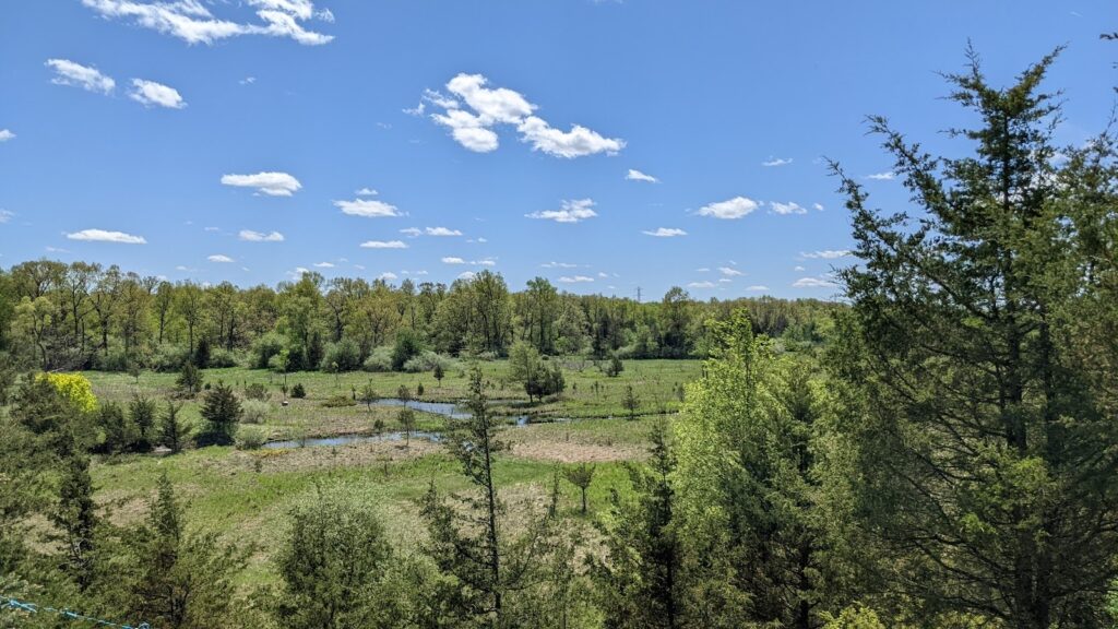 Rare prairie fen ecosystem conserved, Protects multiple threatened ...