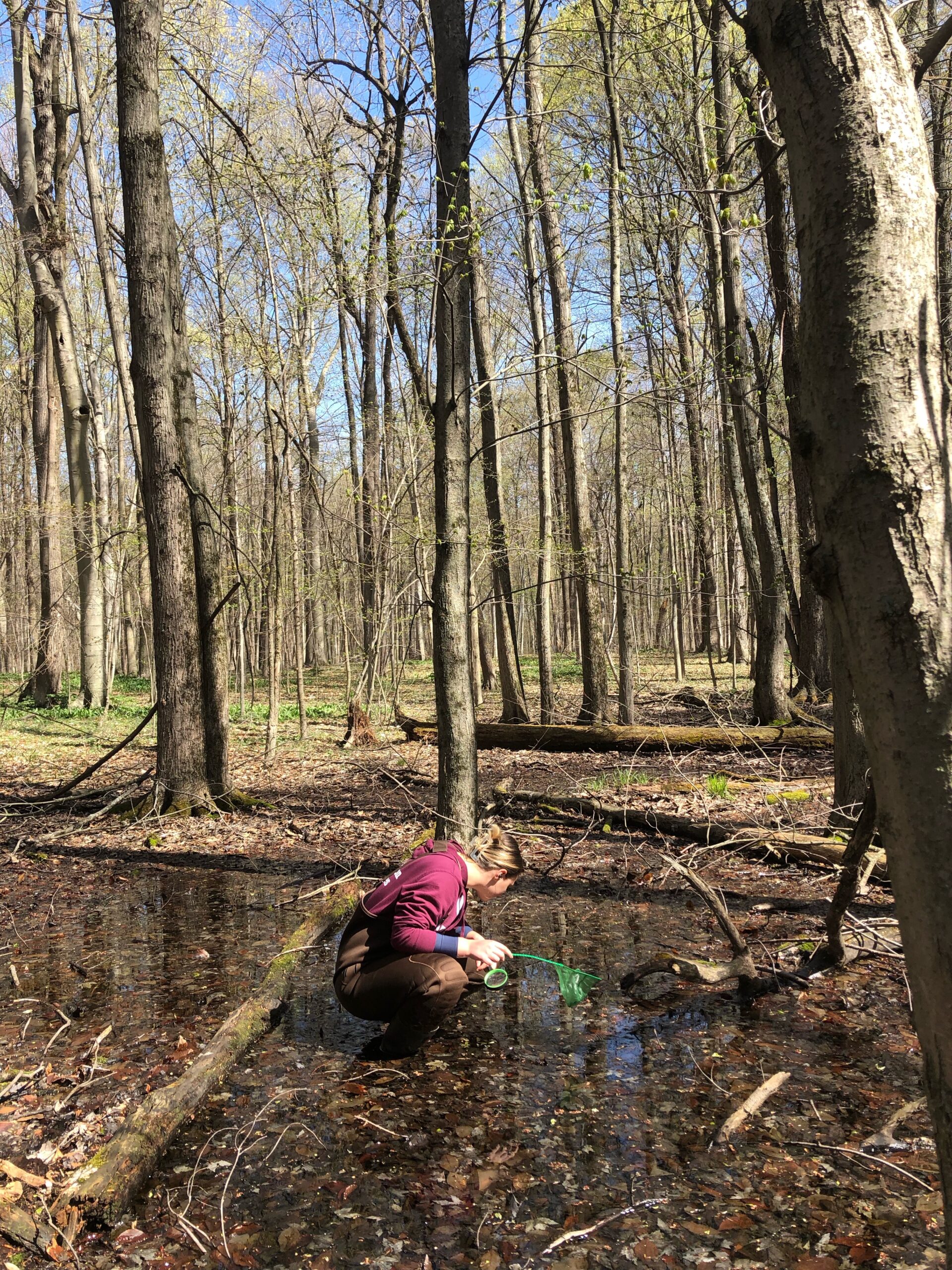 Legacy joins the Vernal Pool Patrol! - Legacy Land Conservancy | Ann ...