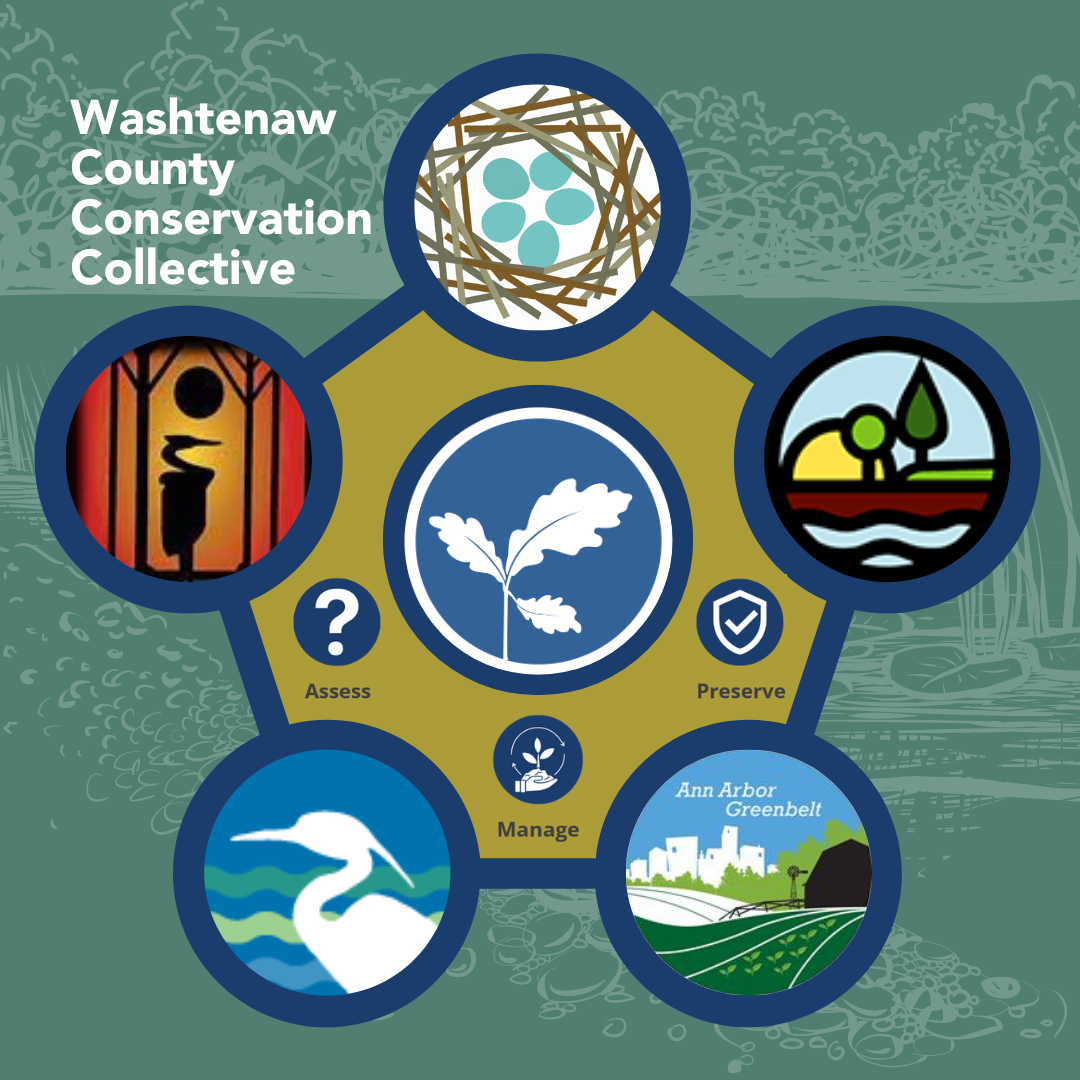 Collective connects communities to conservation resources - Legacy Land ...